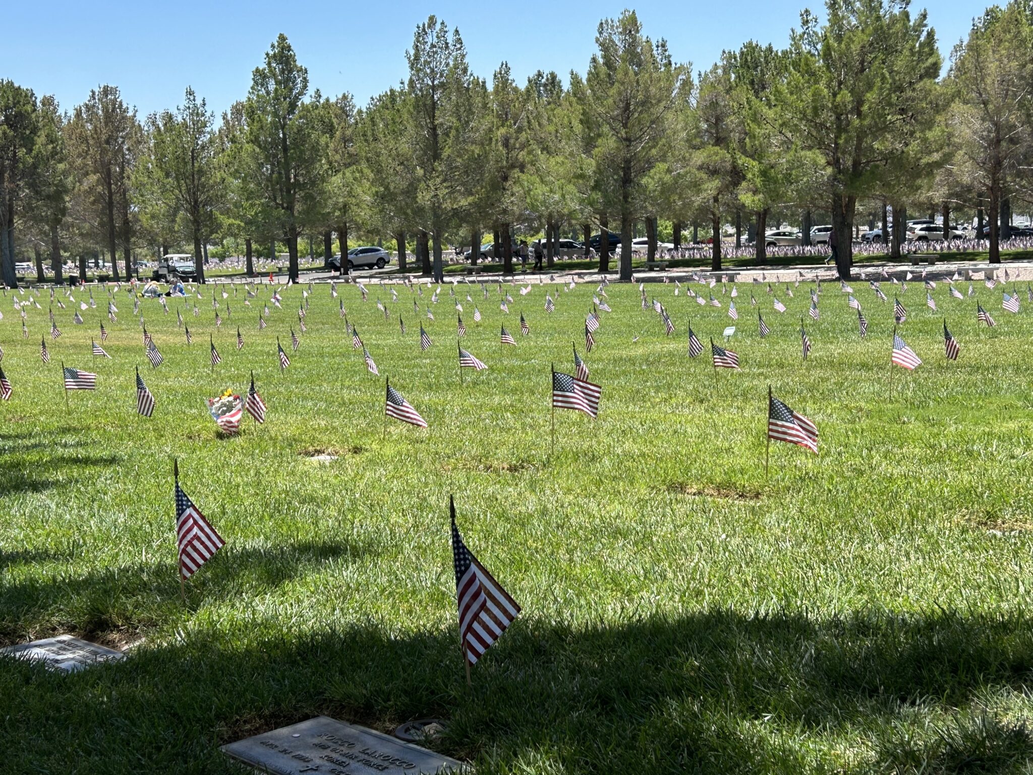 Placing Flags at Southern Nevada Veterans Memorial Cemetery - Nevada ...